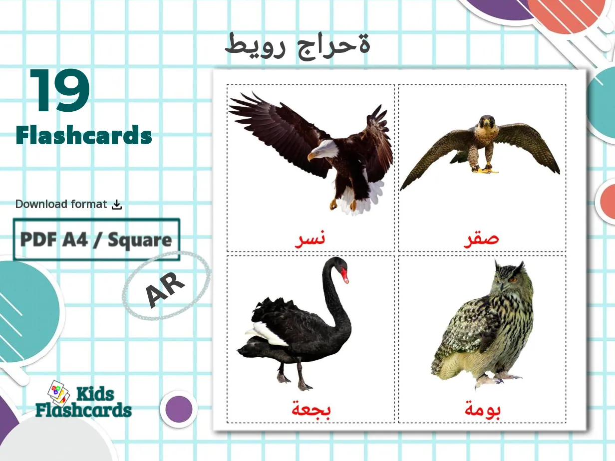 19 Printable Wild birds Flashcards in Arabic (Free PDF)