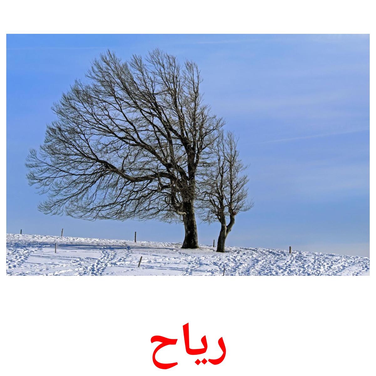31 FREE Weather Flashcards | PDF | Arabic Words