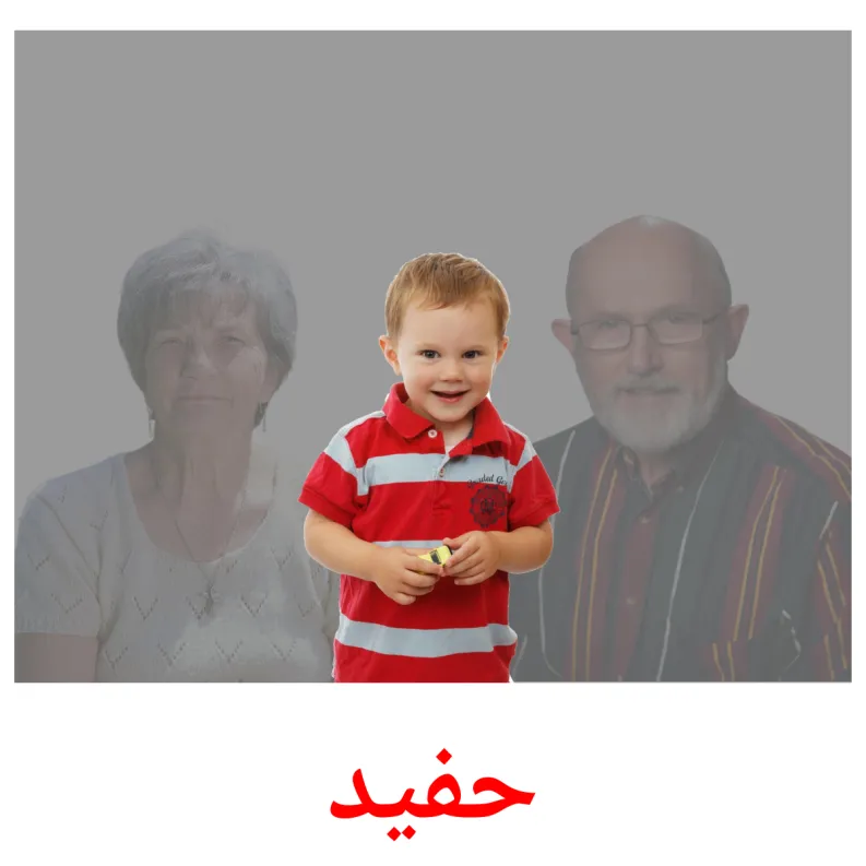 32 Cartes Nomenclature Montessori Les Membres de la Famille GRATUIT à ...