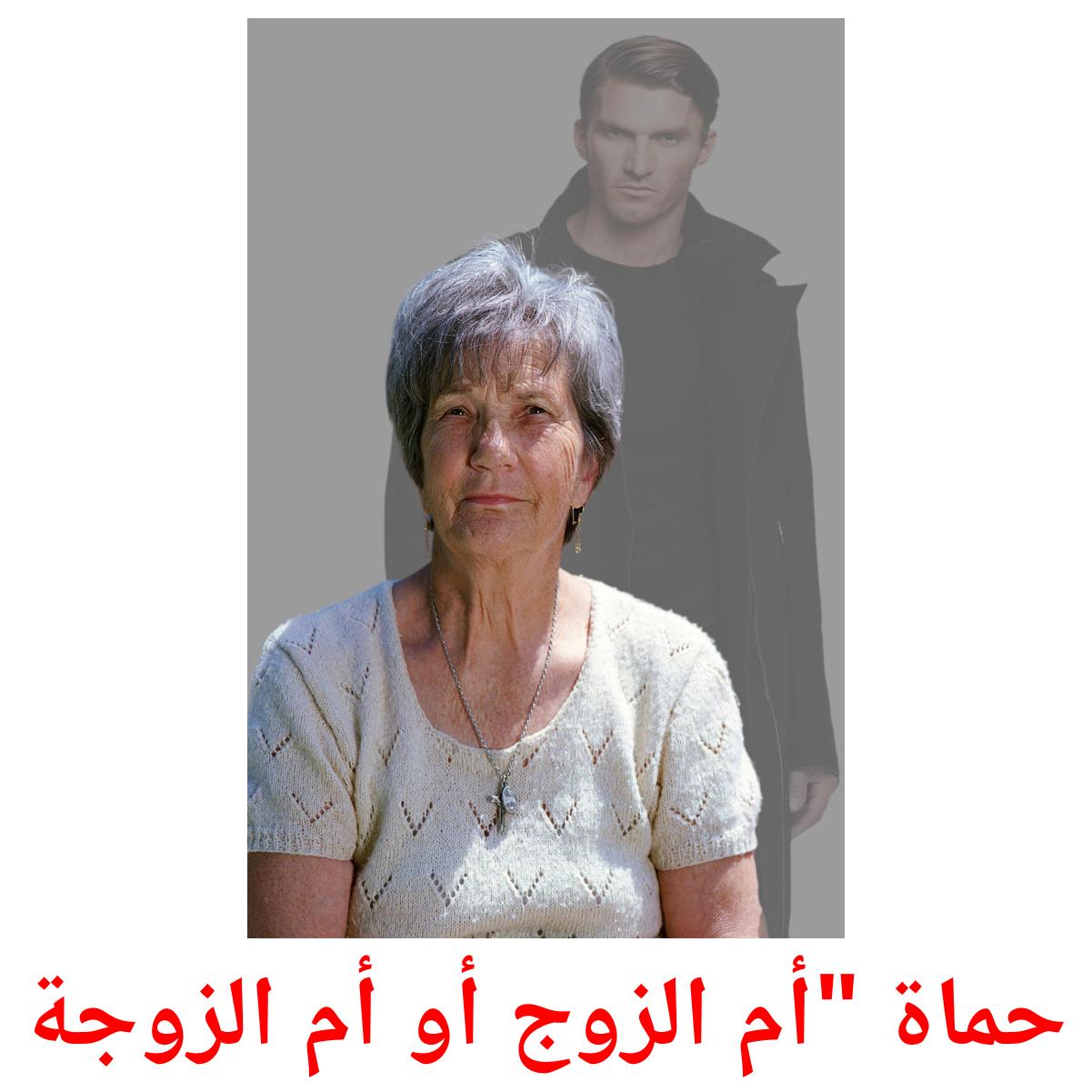 32 Cartes Nomenclature Montessori Les Membres de la Famille GRATUIT à ...