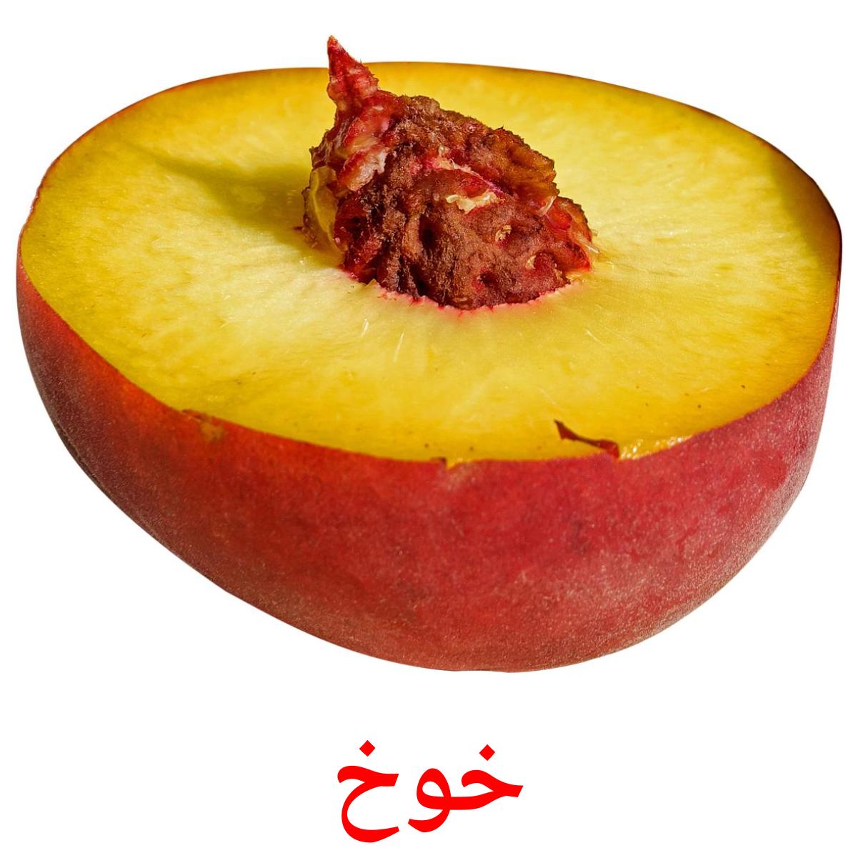 21 Printable Fruits Flashcards in Arabic (Free PDF)