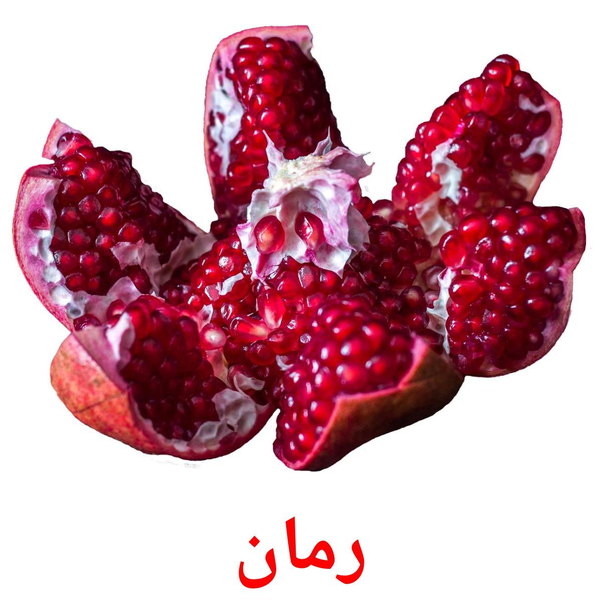 21 Printable Fruits Flashcards in Arabic (Free PDF)