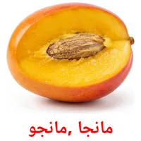 21 Printable Fruits Flashcards in Arabic (Free PDF)