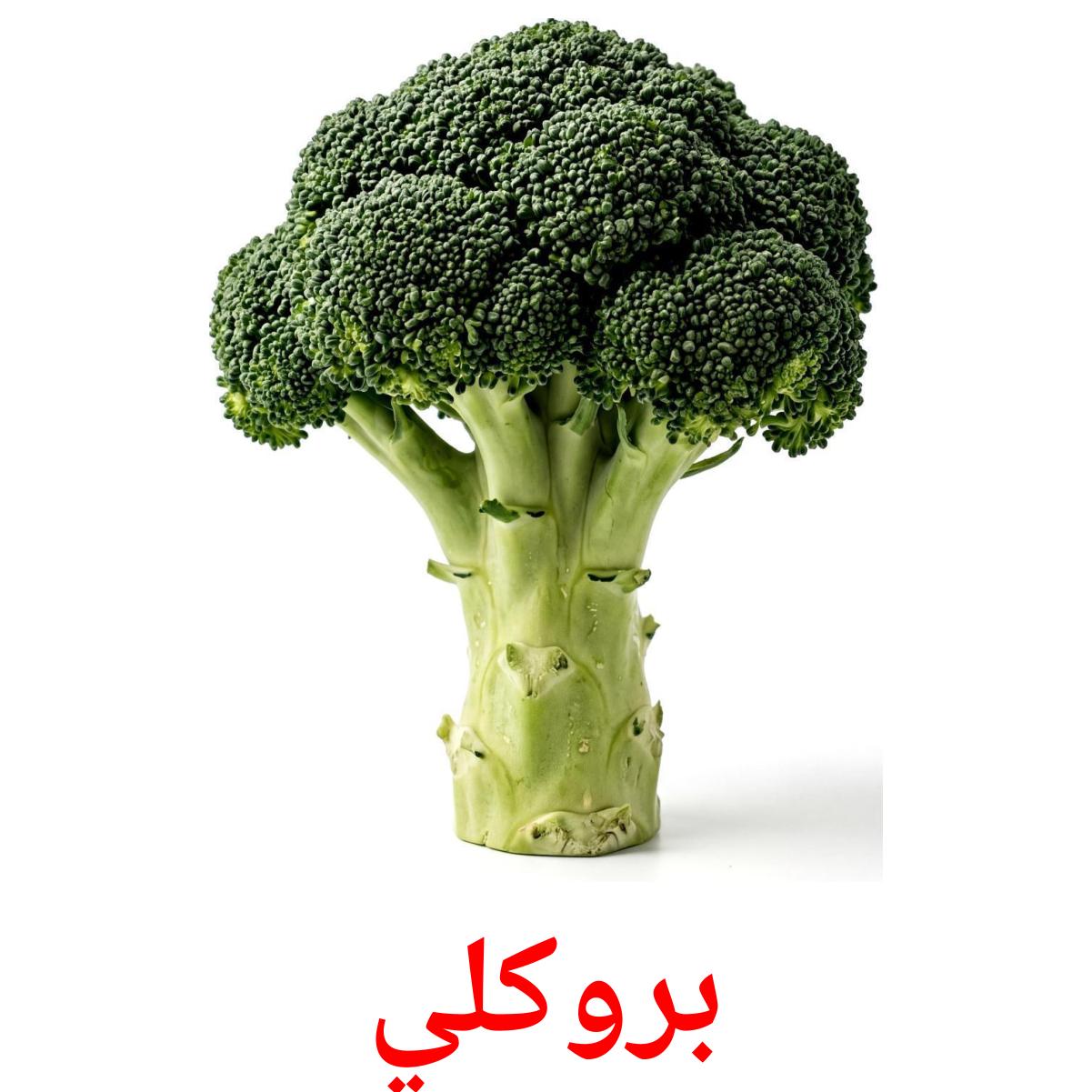 30 Printable Vegetables Flashcards in Arabic (Free PDF)