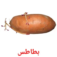 30 Printable Vegetables Flashcards in Arabic (Free PDF)