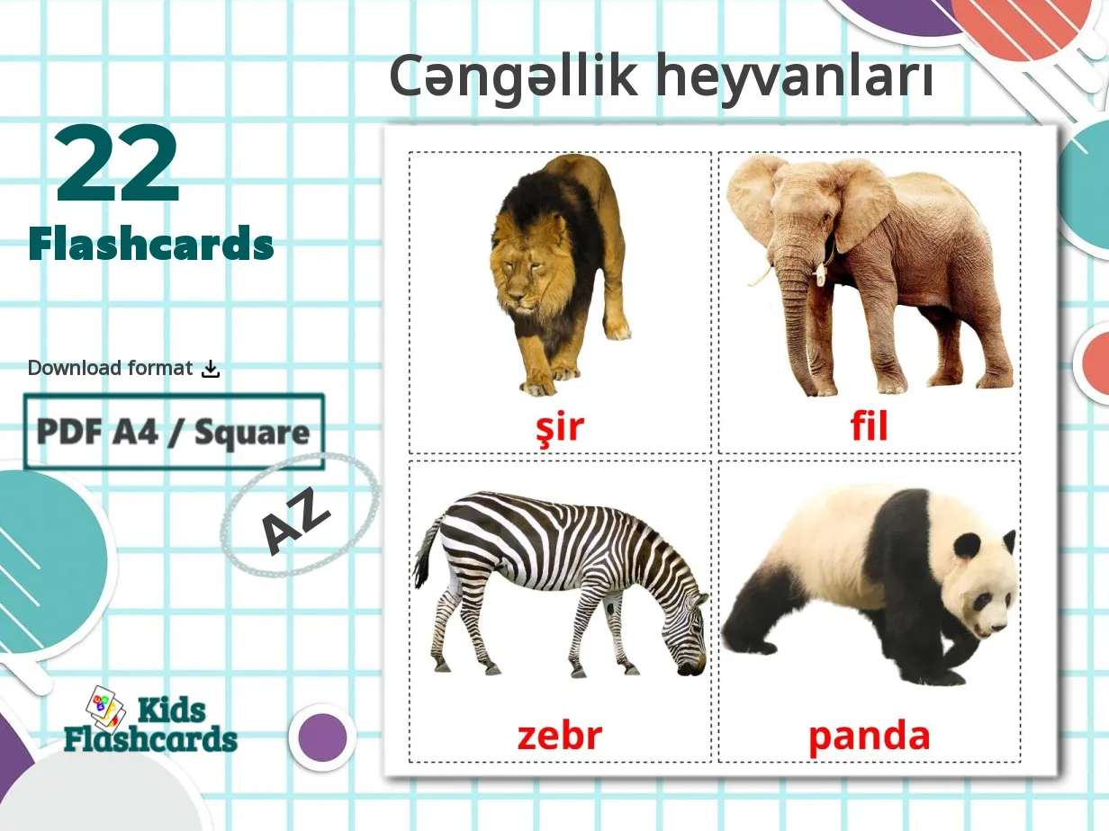 22 Printable Jungle animals Flashcards in Azerbaijani (Free PDF)
