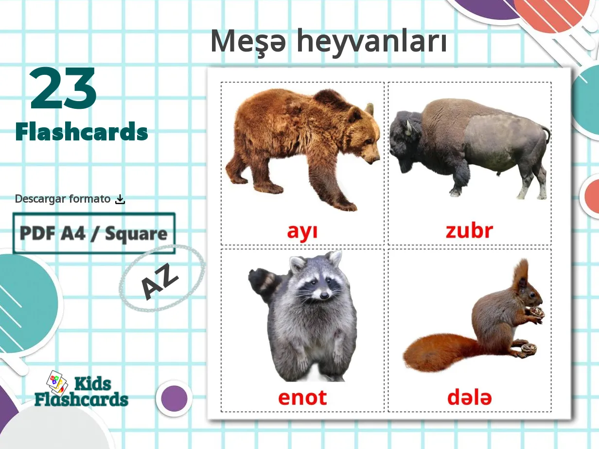 23 Tarjetas de Aprendizaje de Animales del Bosque GRATIS en PDF ...