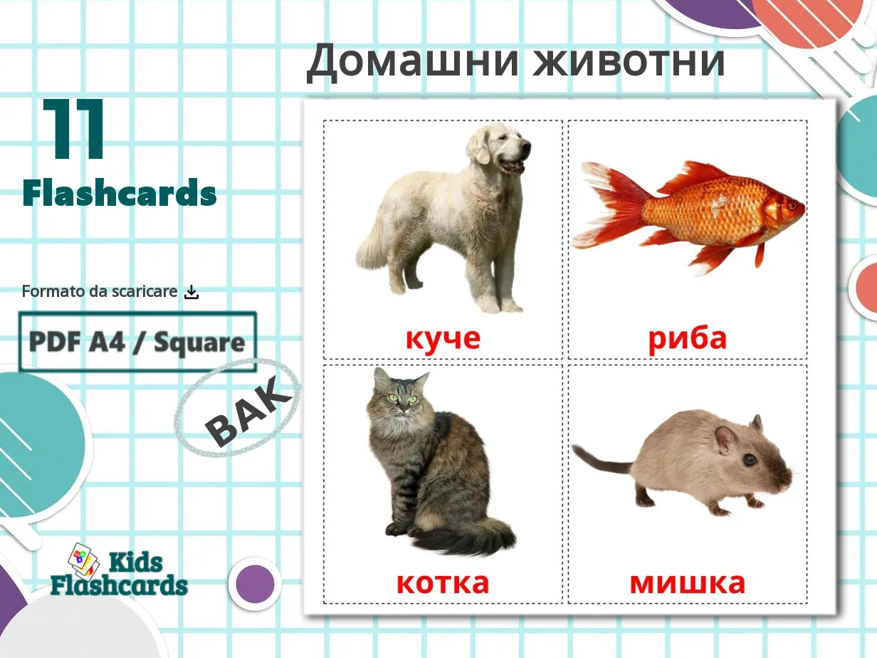 11 Flashcard GRATUITE sui Animali Domestici in 4 Formati PDF | Immagini ...