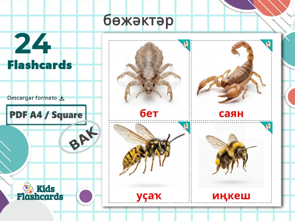 24 Tarjetas de Aprendizaje de Insectos GRATIS en PDF | Imágenes en Brashkir
