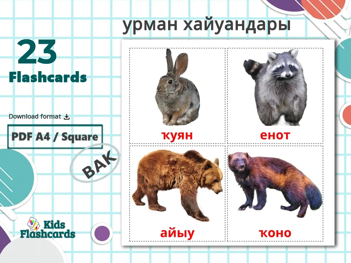 23 Printable Forest animals Flashcards in Bashkir (Free PDF)