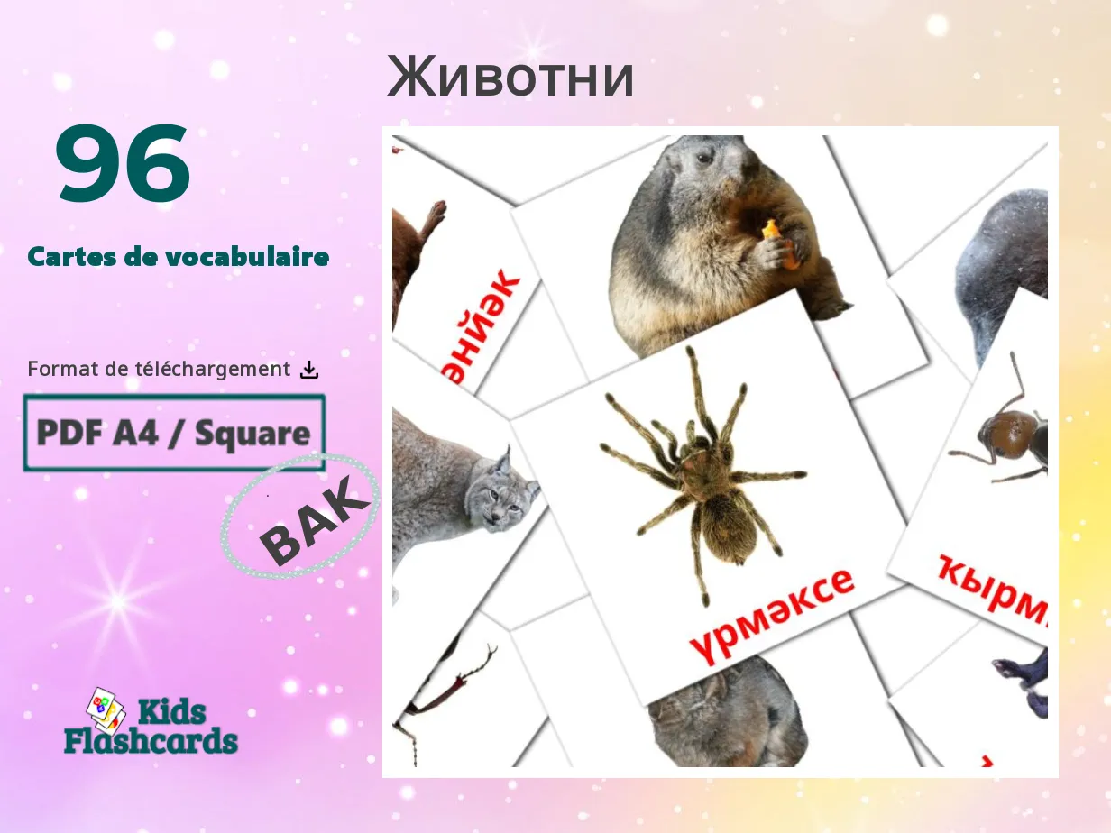 96 Flashcards Animaux GRATUIT à imprimer | PDF | Vocabulaire Bashkir
