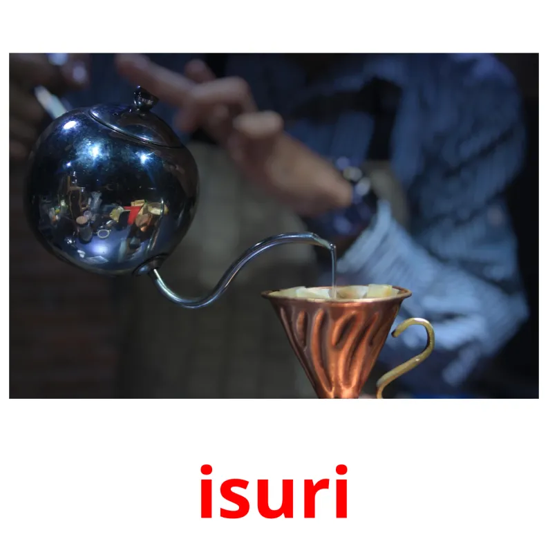 51 Cartes Nomenclature Montessori Les Verbes d'Action GRATUIT à ...