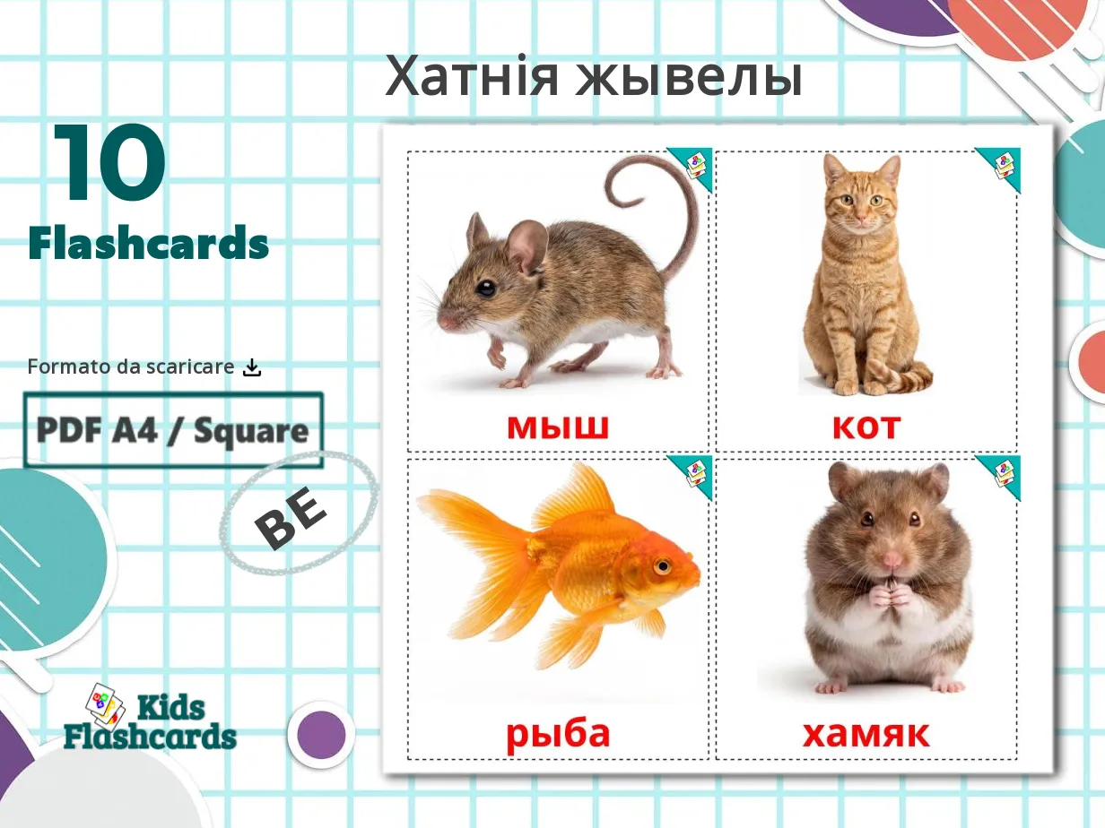 10 Flashcard GRATUITE sui Animali Domestici in 4 Formati PDF | Immagini ...