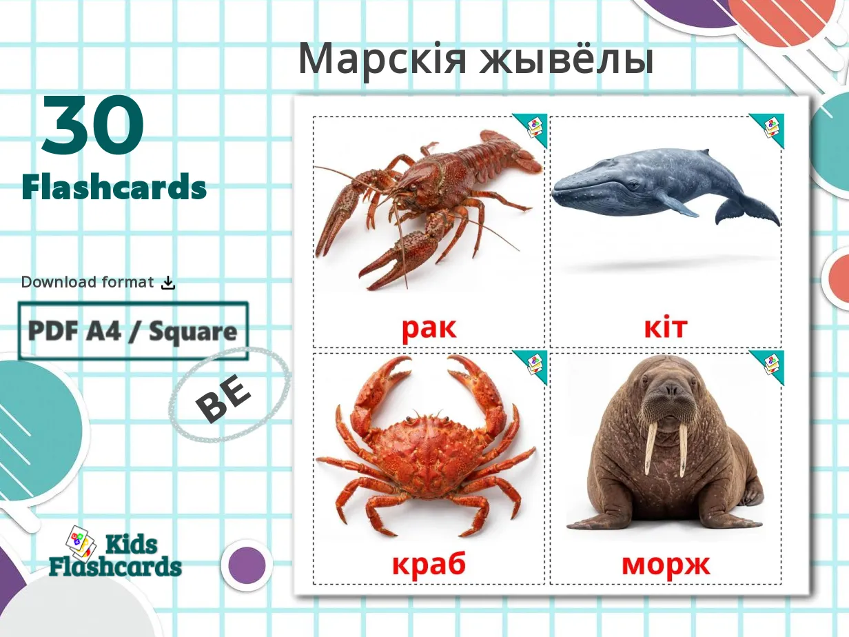 30 Printable Sea animals Flashcards in Belarusian (Free PDF)