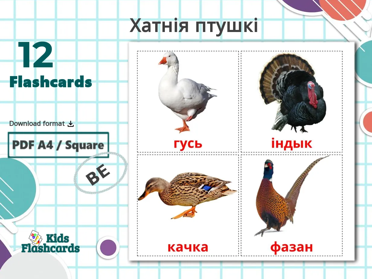 12 Printable Farm birds Flashcards in Belarusian (Free PDF)
