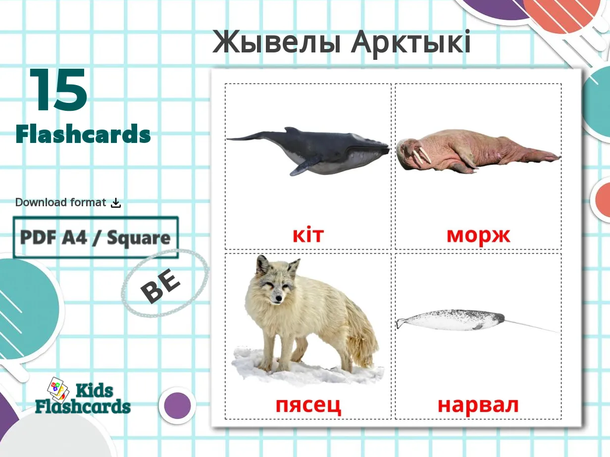 15 Printable Arctic animals Flashcards in Belarusian (Free PDF)
