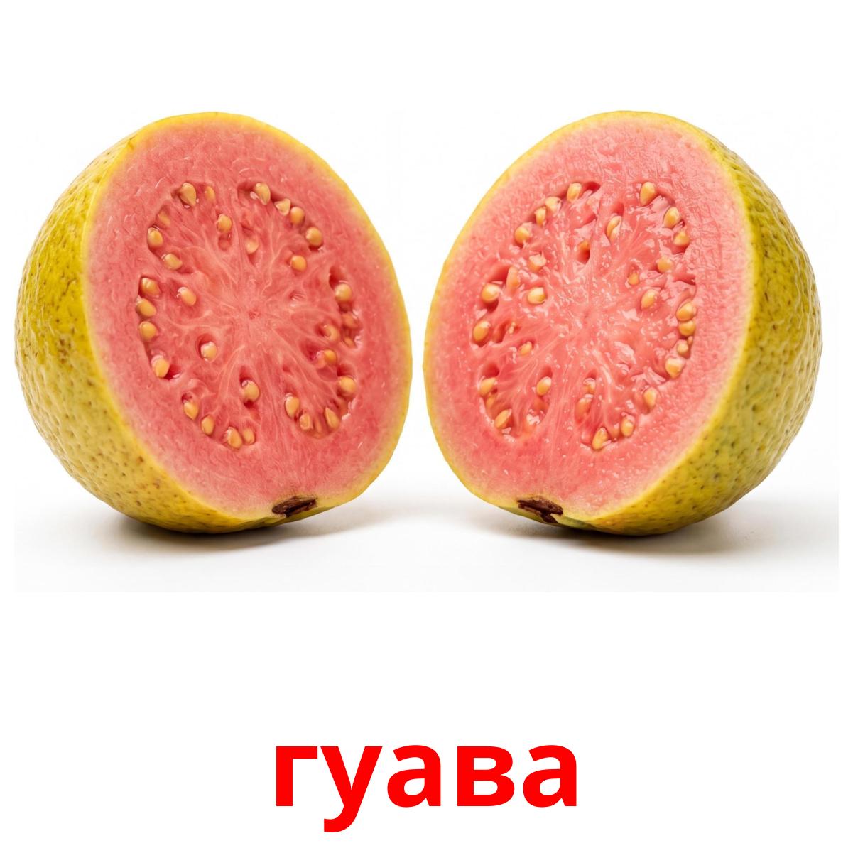 20 FREE Fruits Flashcards | PDF | Belarusian Words