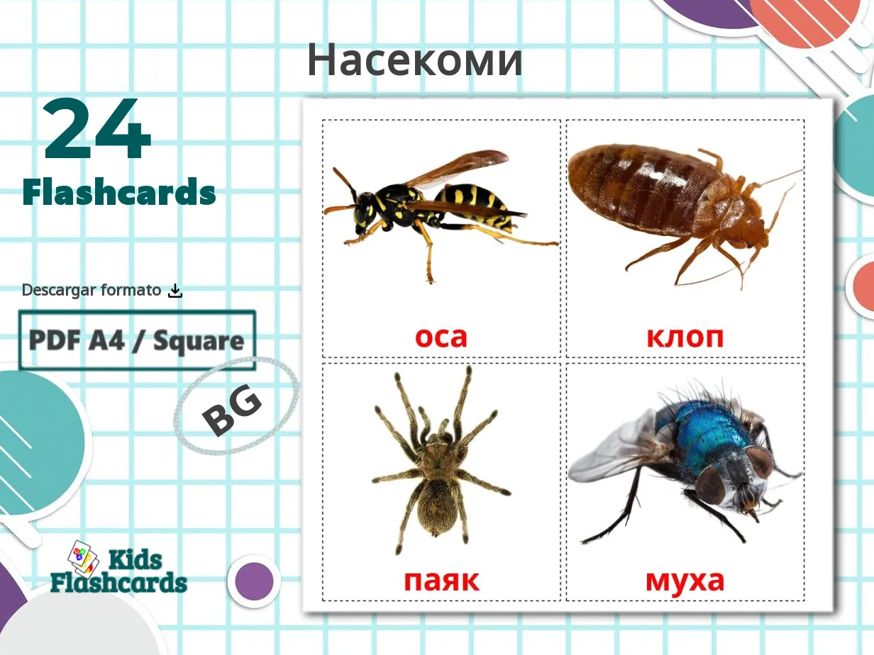 24 Tarjetas de Aprendizaje de Insectos GRATIS en PDF | Imágenes en Búlgaro