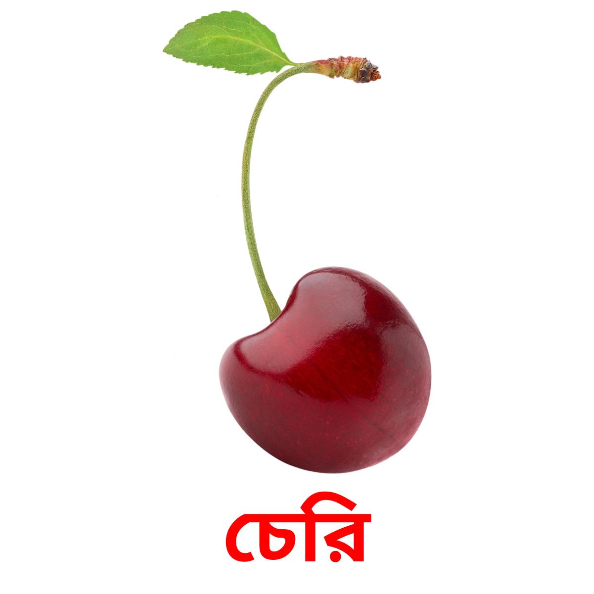 12 Printable Berries Flashcards in Bengali (Free PDF)