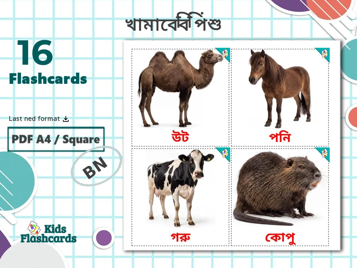16 GRATIS Gårdsdyr bildekort i 4 PDF-formater | bilder på Bengali