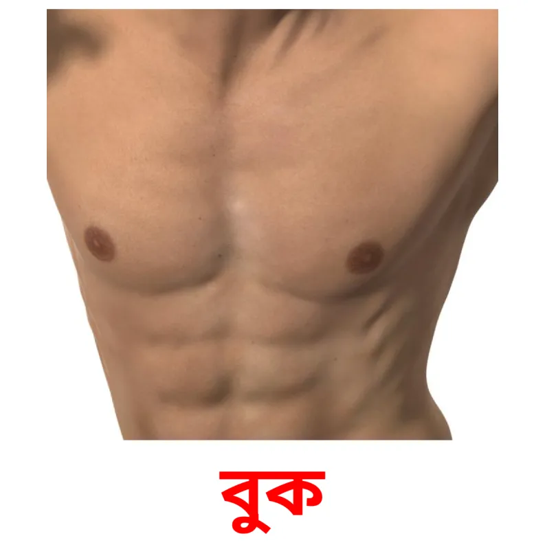 26 FREE Body Parts Flashcards | PDF | Bengali Words