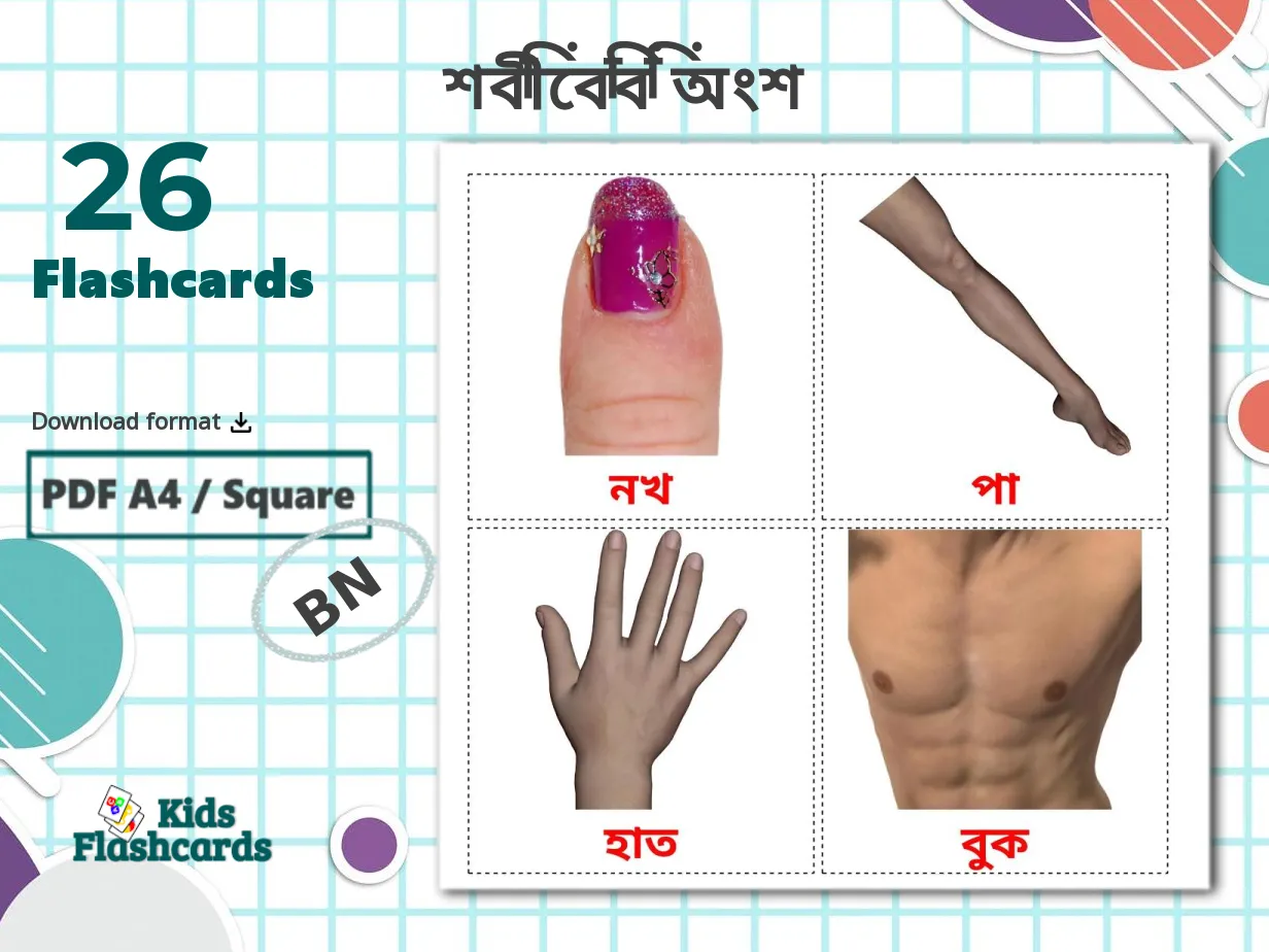 26 Printable Body Parts Flashcards in Bengali (Free PDF)