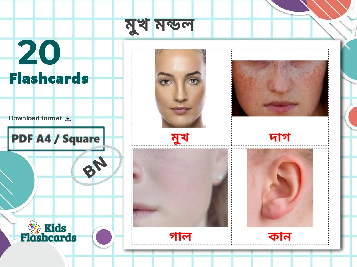 20 FREE Face Flashcards | PDF | Bengali Words