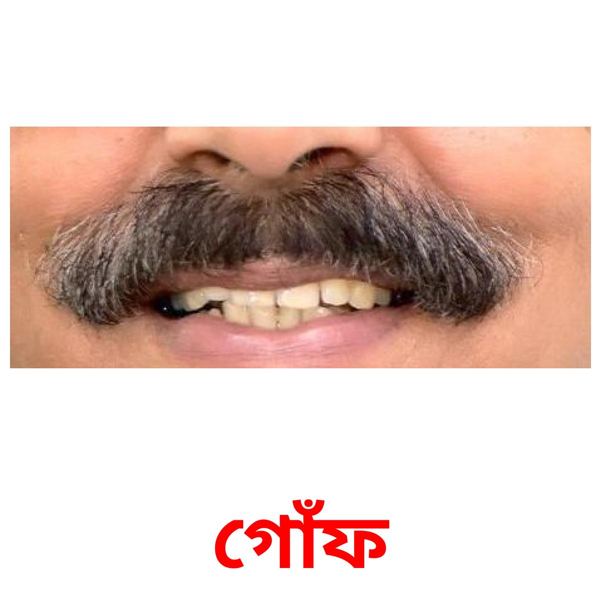 20 FREE Face Flashcards | PDF | Bengali Words