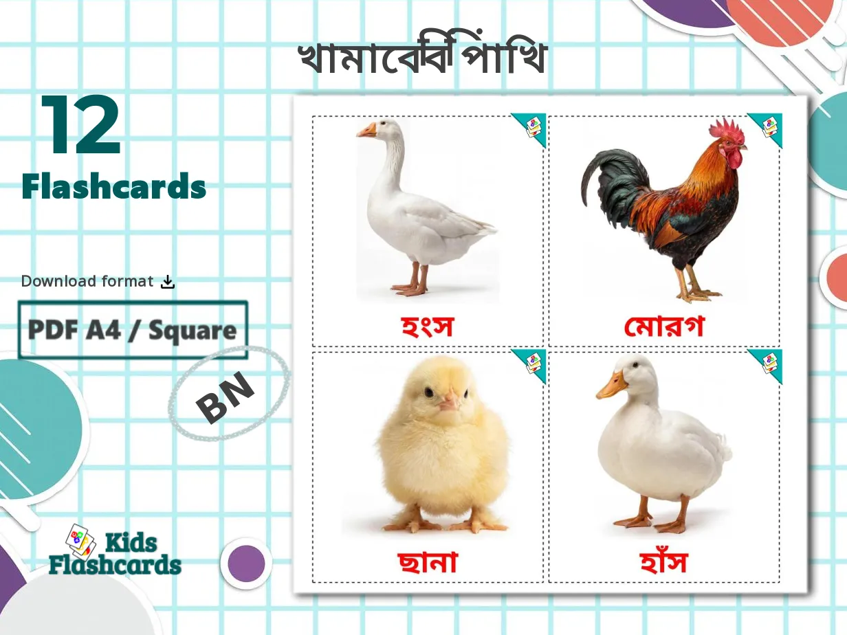 12 Printable Farm birds Flashcards in Bengali (Free PDF)
