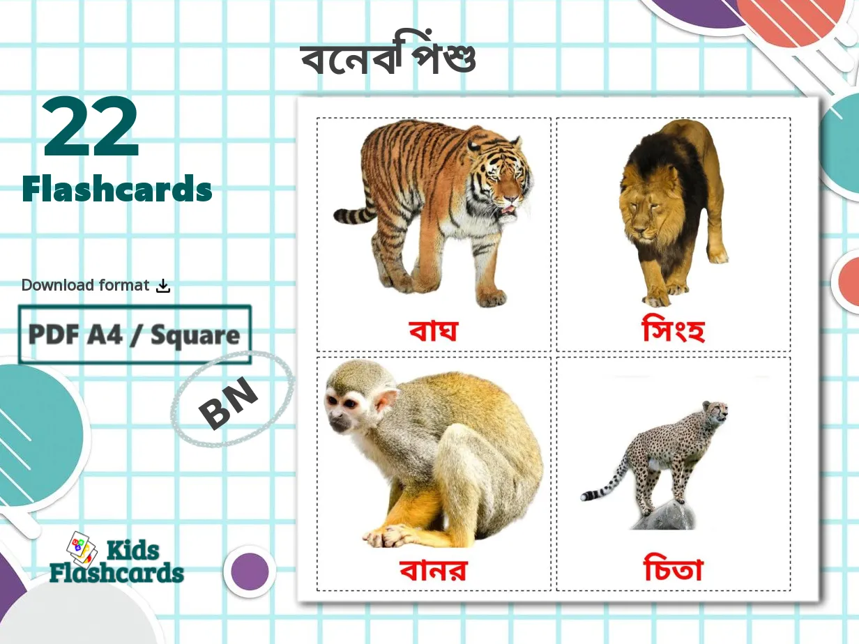 22 FREE Jungle animals Flashcards | PDF | Bengali Words
