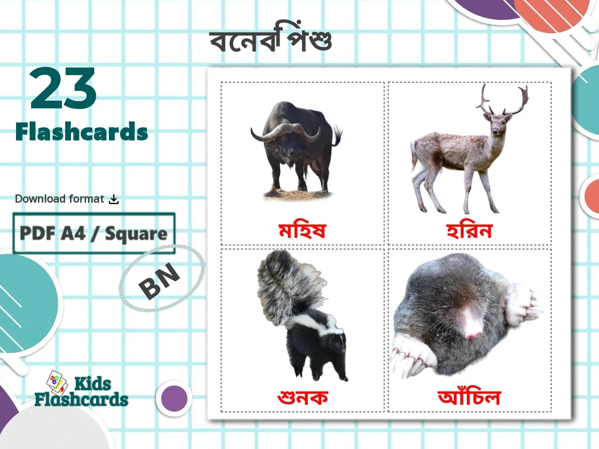23 Printable Forest animals Flashcards in Bengali (Free PDF)