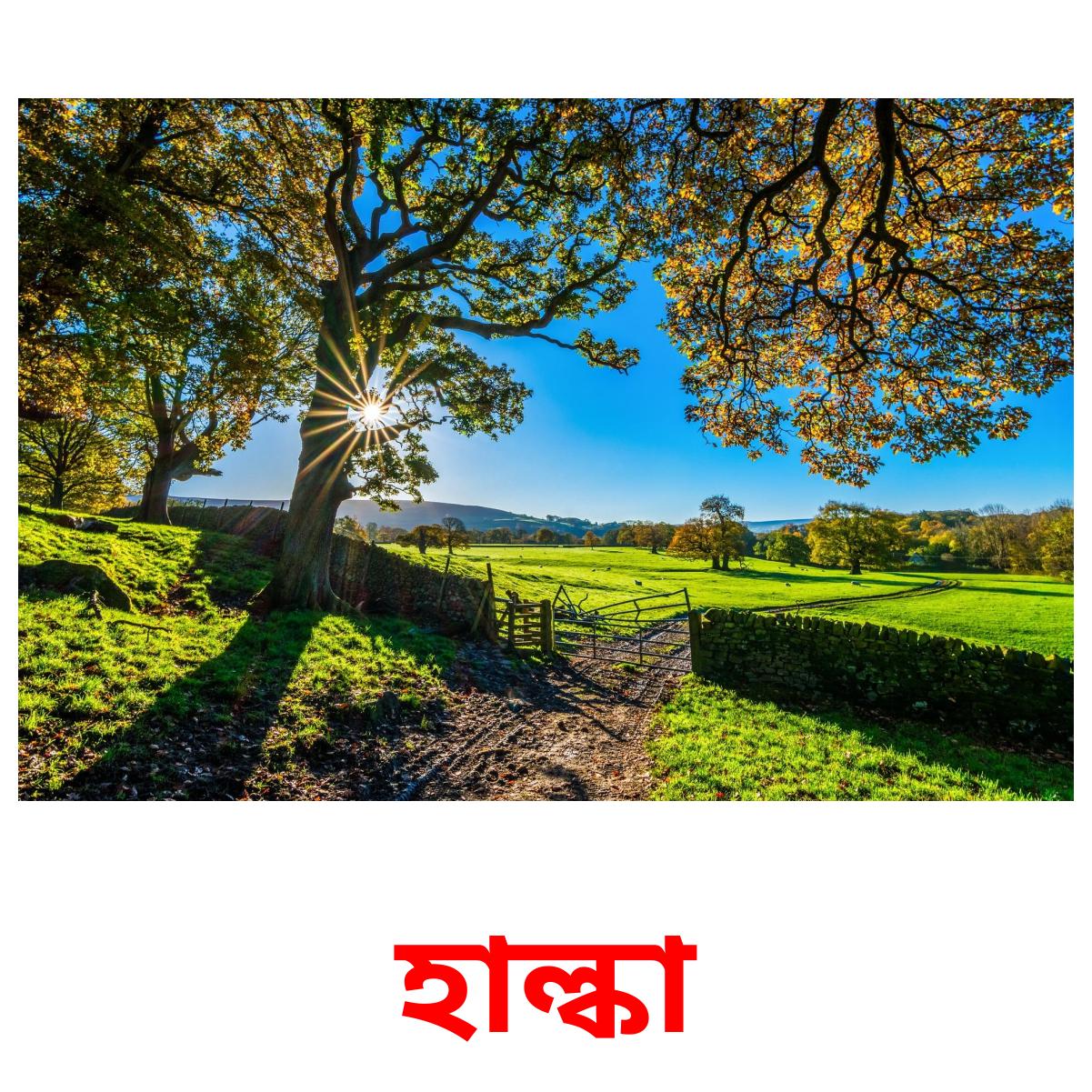 72 FREE Opposites Flashcards | PDF | Bengali Words