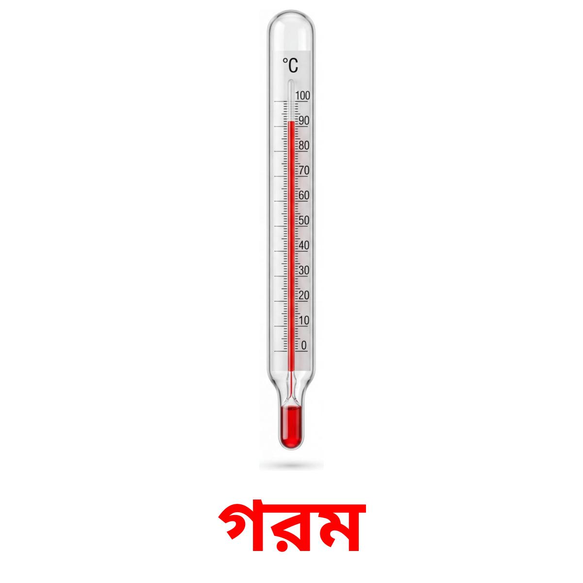 32 Printable Weather Flashcards in Bengali (Free PDF)