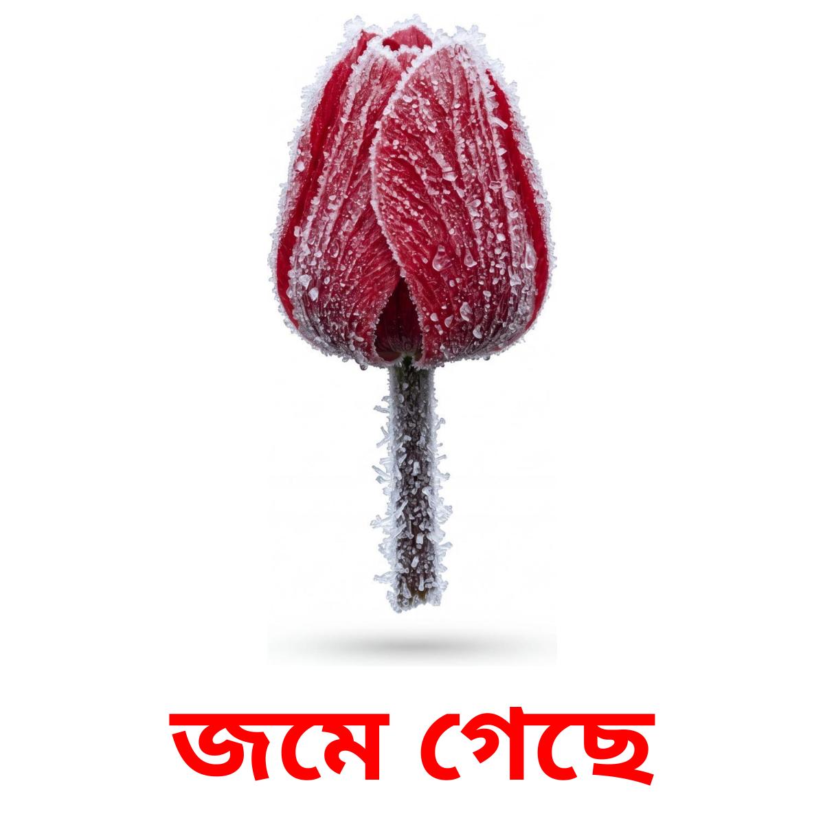 32 Printable Weather Flashcards in Bengali (Free PDF)