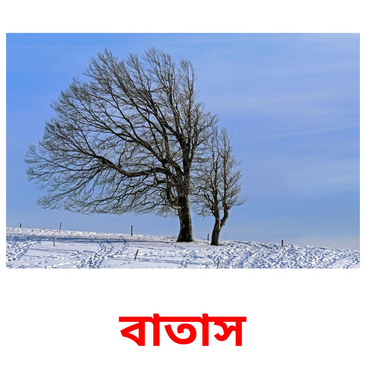 32 Printable Weather Flashcards in Bengali (Free PDF)