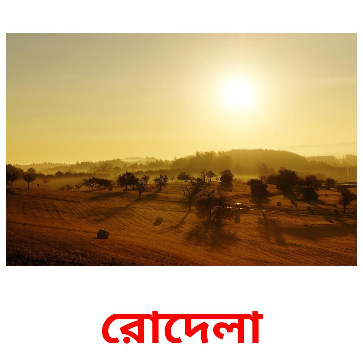 32 Printable Weather Flashcards in Bengali (Free PDF)