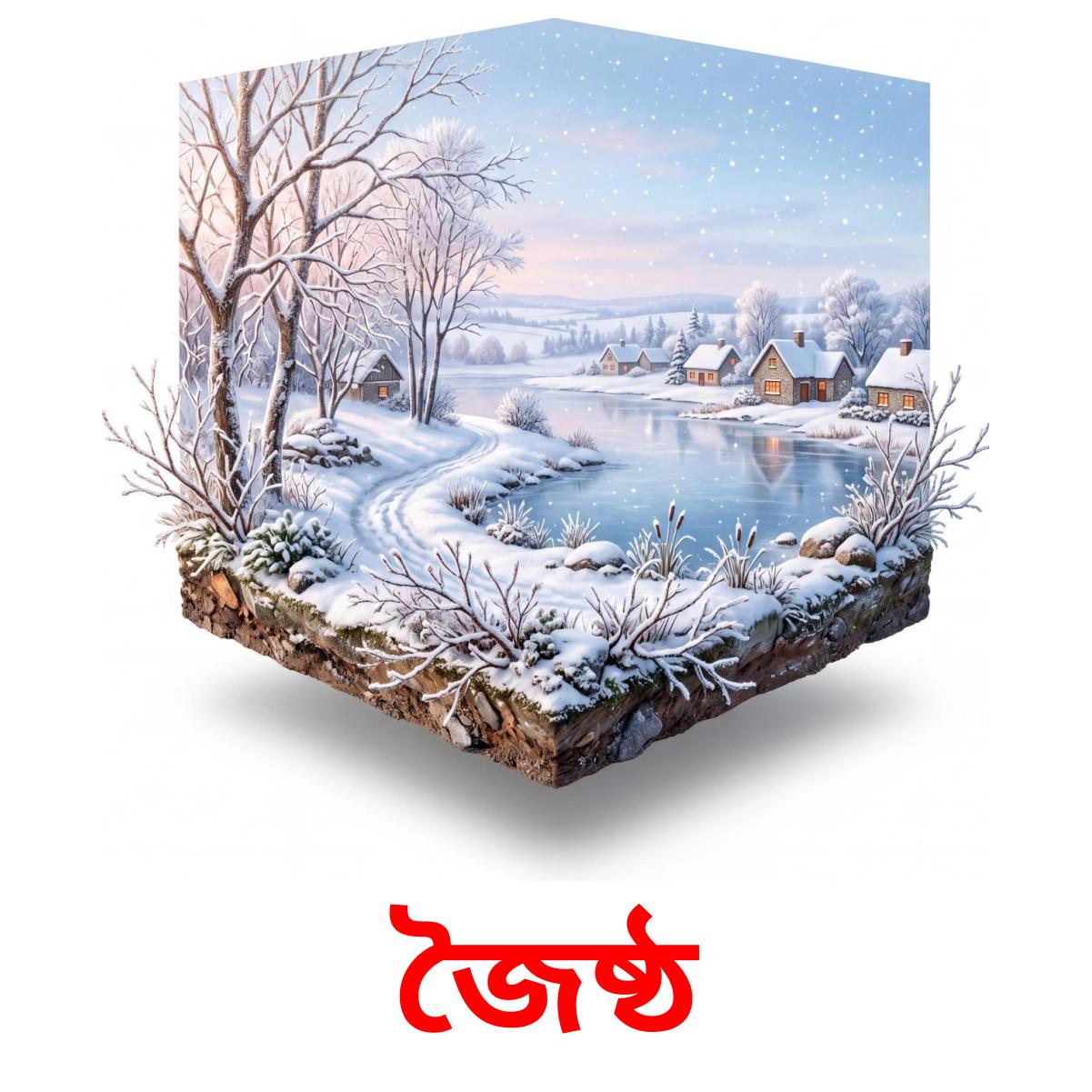 13 Printable Months of the Year Flashcards in Bengali (Free PDF)
