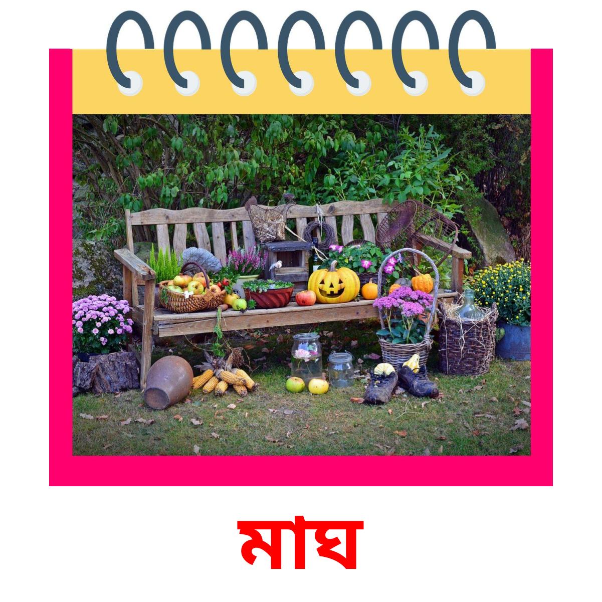 12 FREE Months of the Year Flashcards | PDF | Bengali Words