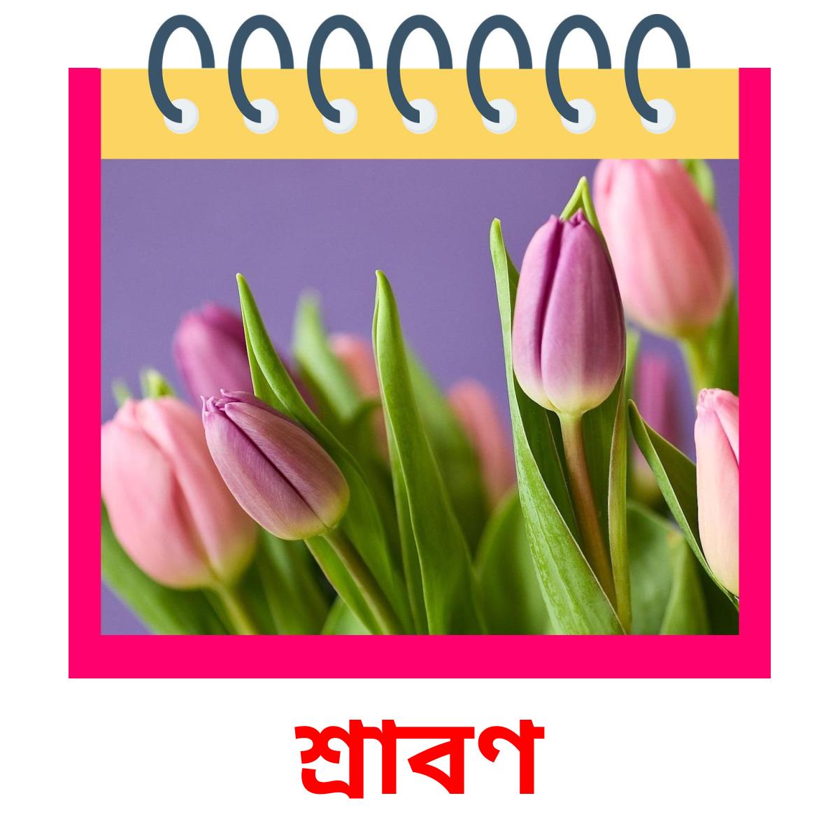 13 Printable Months of the Year Flashcards in Bengali (Free PDF)