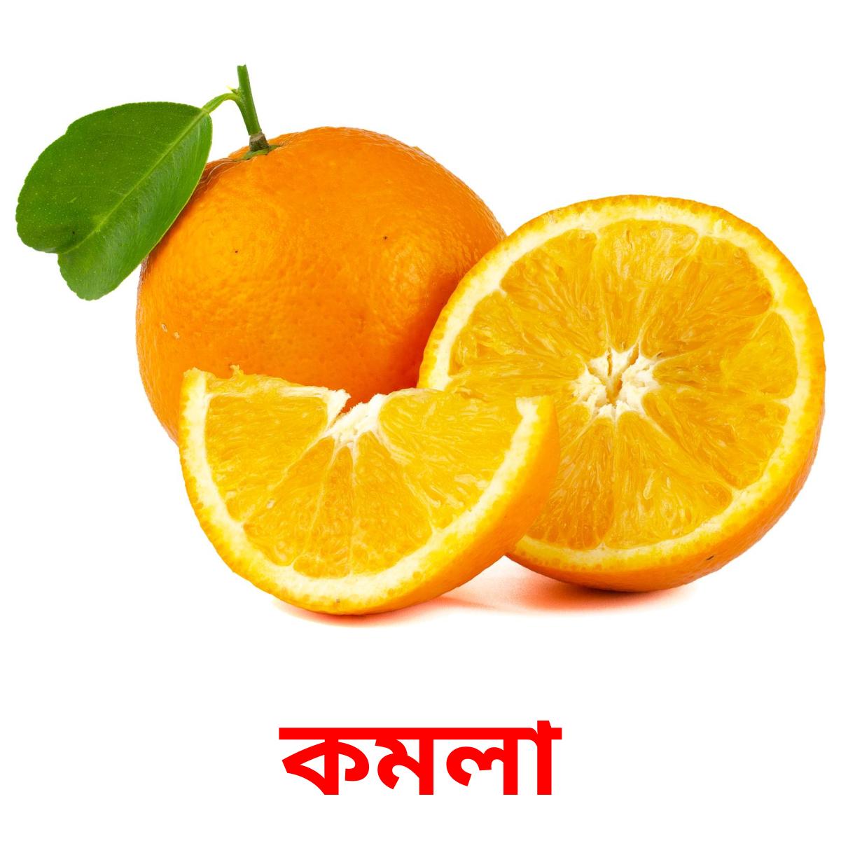 21 Printable Fruits Flashcards in Bengali (Free PDF)