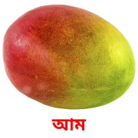 21 Printable Fruits Flashcards in Bengali (Free PDF)