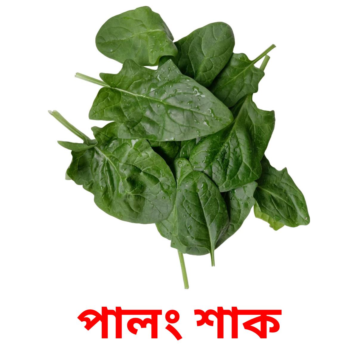30 Printable Vegetables Flashcards in Bengali (Free PDF)