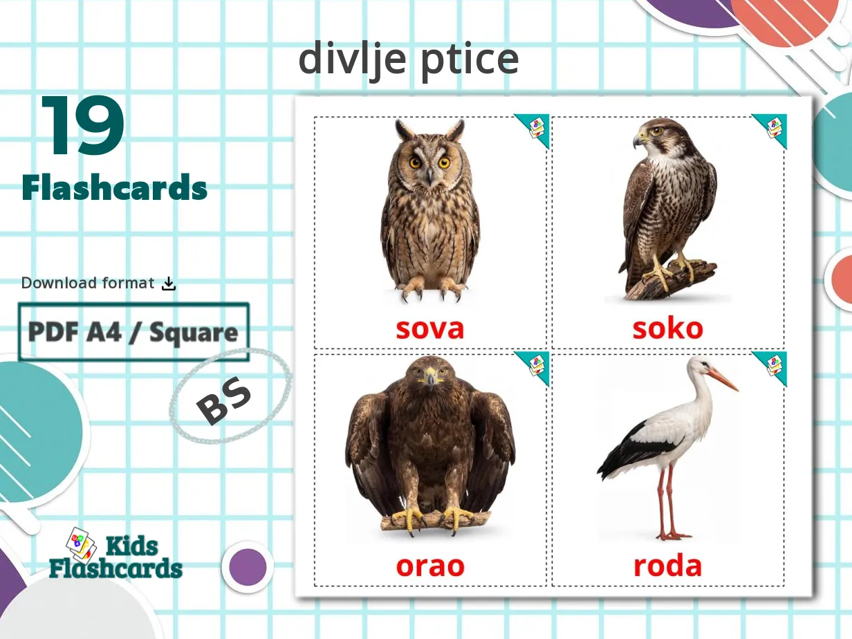 19 Printable Wild birds Flashcards in Bosnian (Free PDF)