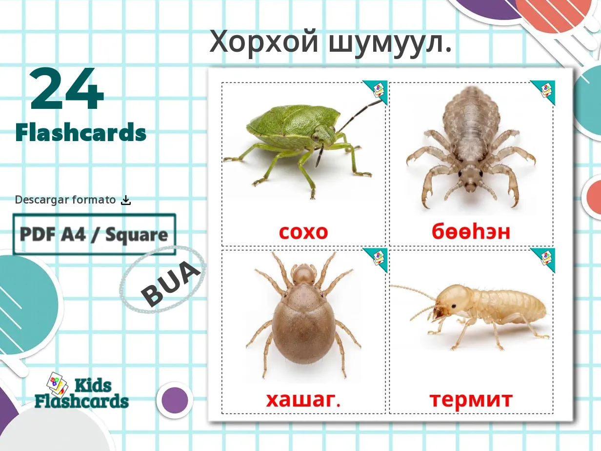 24 Tarjetas de Aprendizaje de Insectos GRATIS en PDF | Imágenes en Buriato