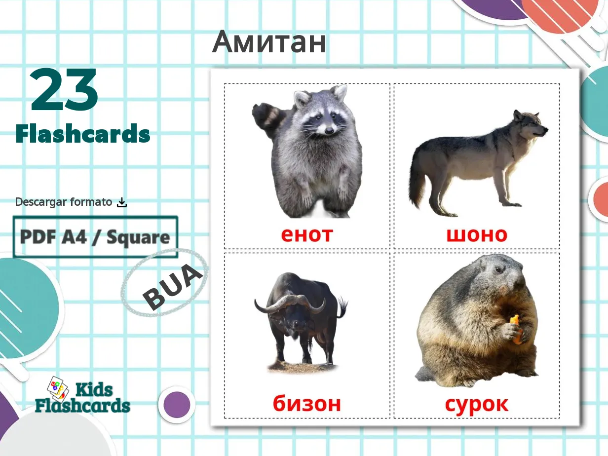 23 Tarjetas de Aprendizaje de Animales del Bosque GRATIS en PDF ...