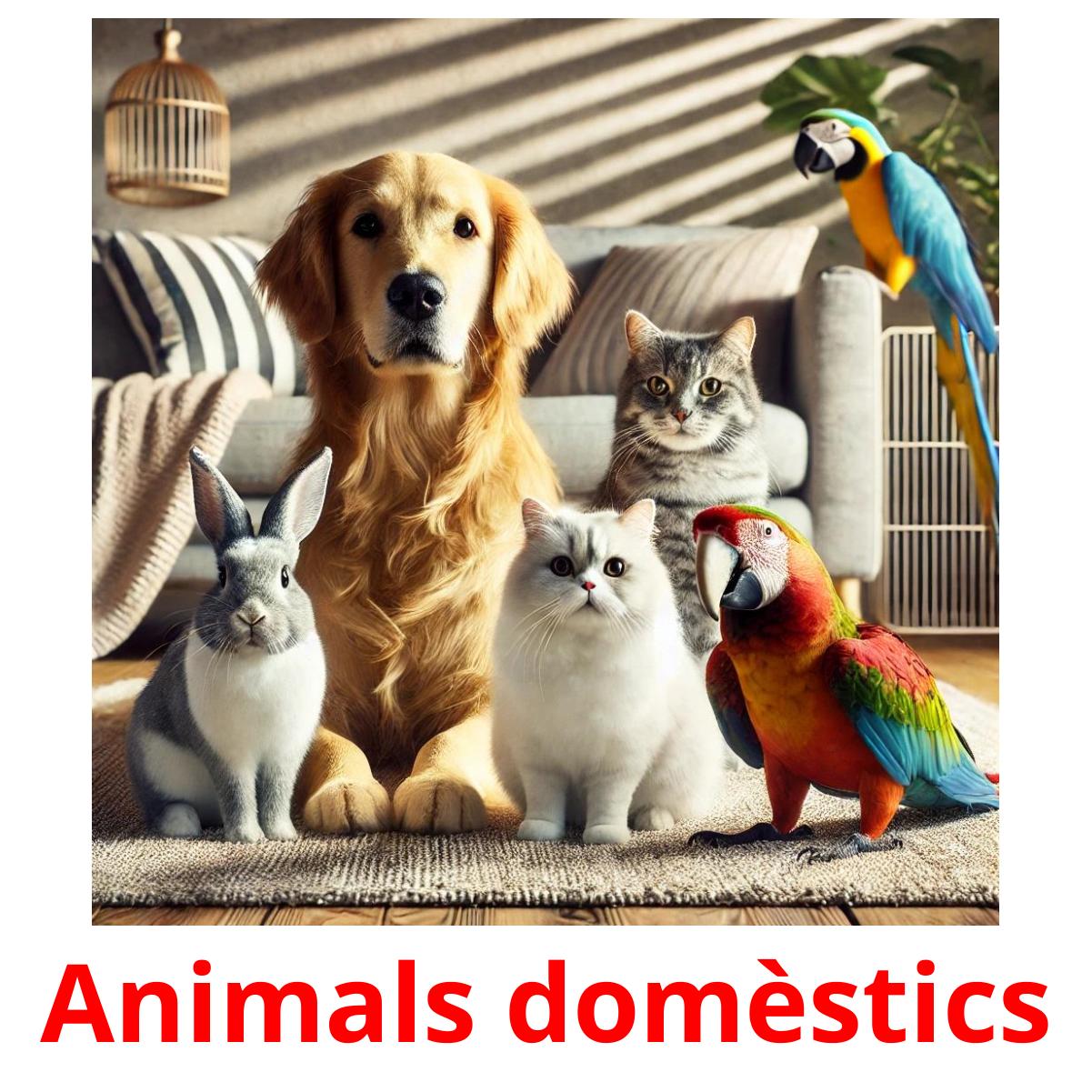 11 Printable Domestic animals Flashcards in Catalan (Free PDF)