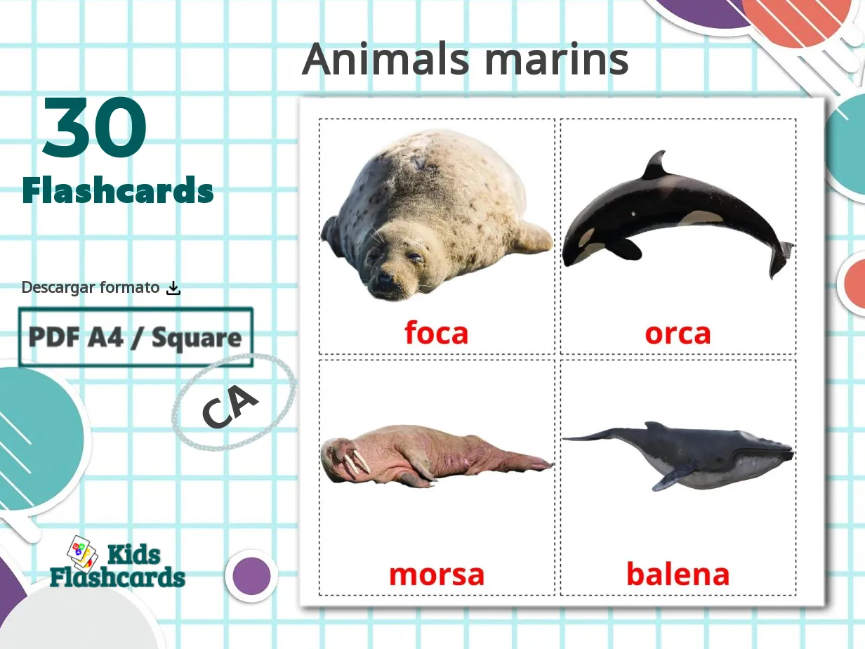 30 Tarjetas de Aprendizaje de Animales Marinos GRATIS en PDF | Imágenes ...