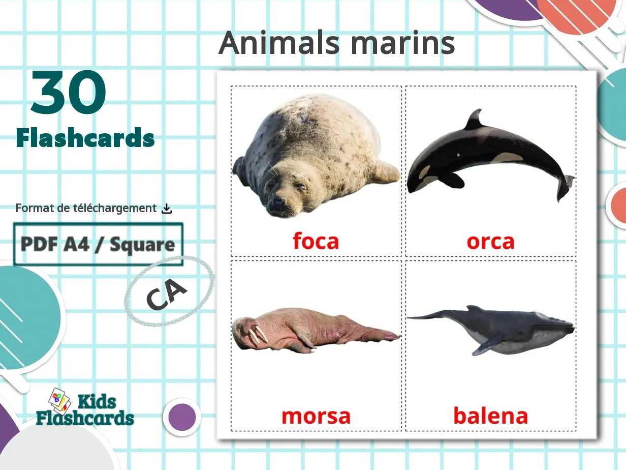 30 Cartes de Vocabulaire pour Enfants GRATUITES Les Animaux Marins à ...