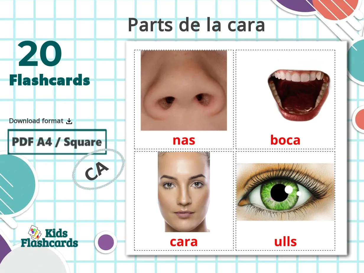 20 Printable Face Flashcards in Catalan (Free PDF)