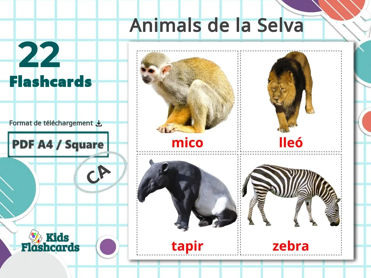 22 Cartes Nomenclature Montessori Les Animaux de la Jungle GRATUIT à ...